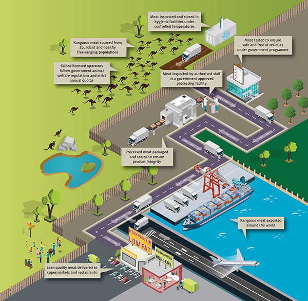 Exporting kangaroo meat - DAFF