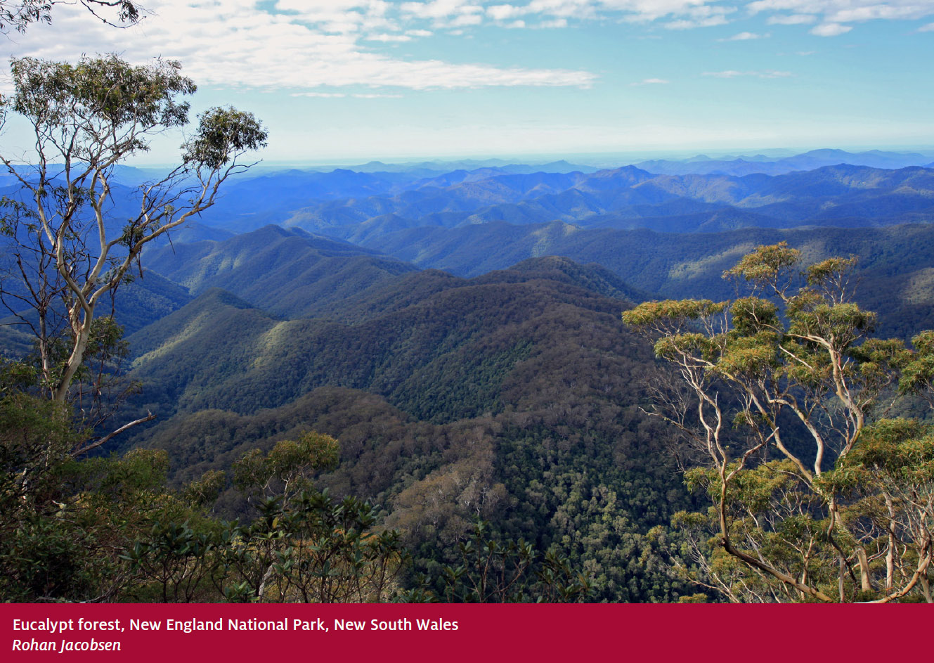 Australia's forests – overview - Department of Agriculture
