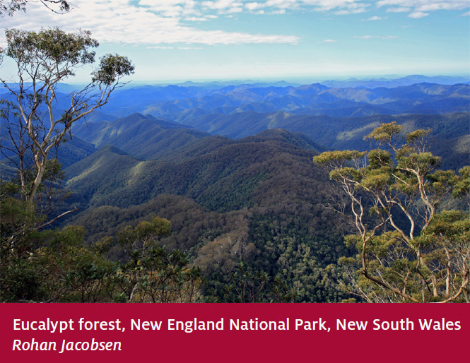 Australia's forests – overview - DAFF