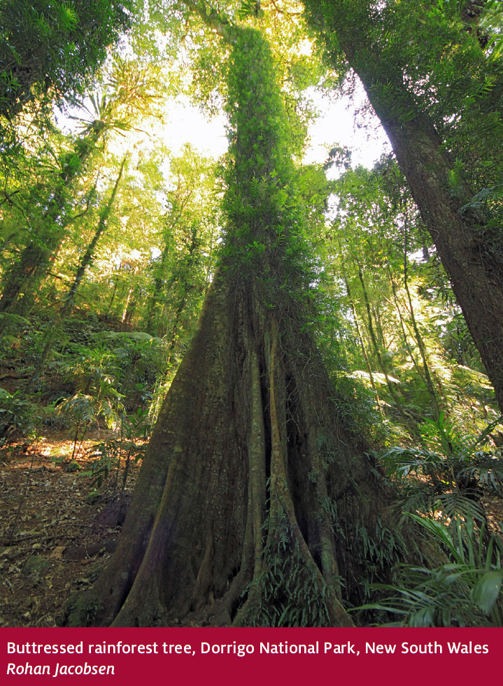 Australia's forests – overview - Department of Agriculture
