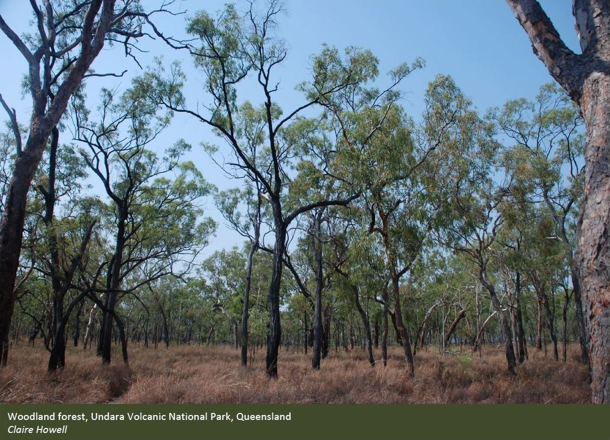 Australia's forests – overview - DAFF