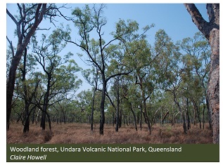 Australia's forests – overview - DAFF