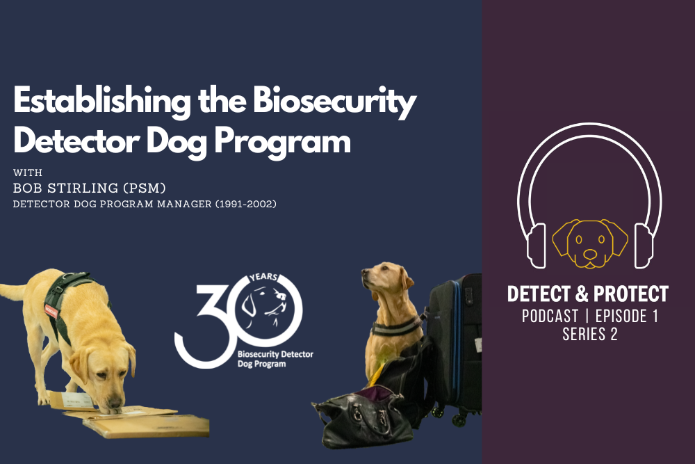 Establishing the Biosecurity Detector Dog Program - DAFF