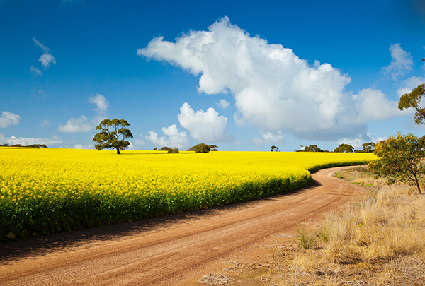 ABARES Australian Bureau of Agricultural and Resource Economics and ...