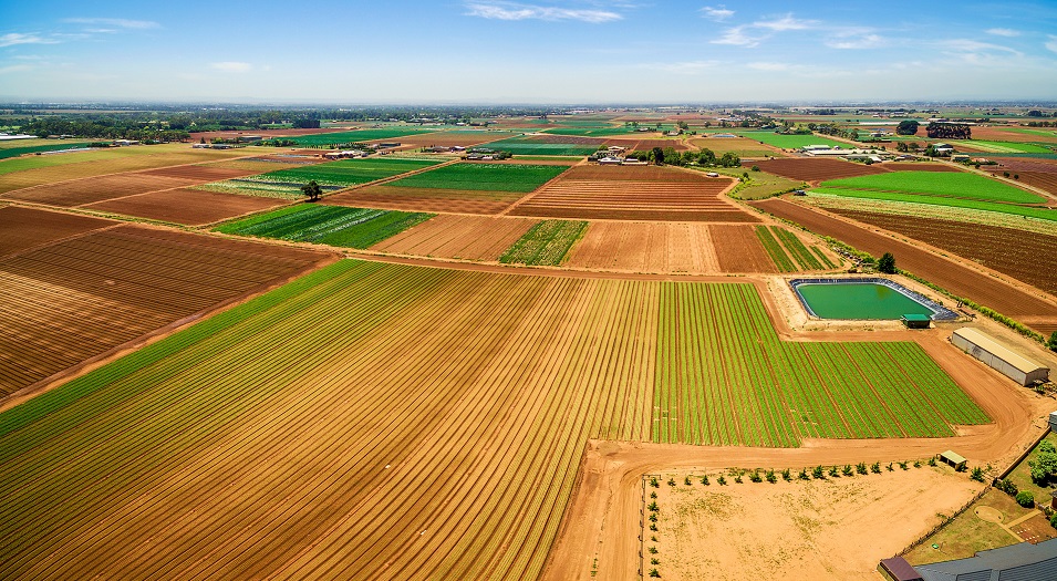 ABARES - DAFF