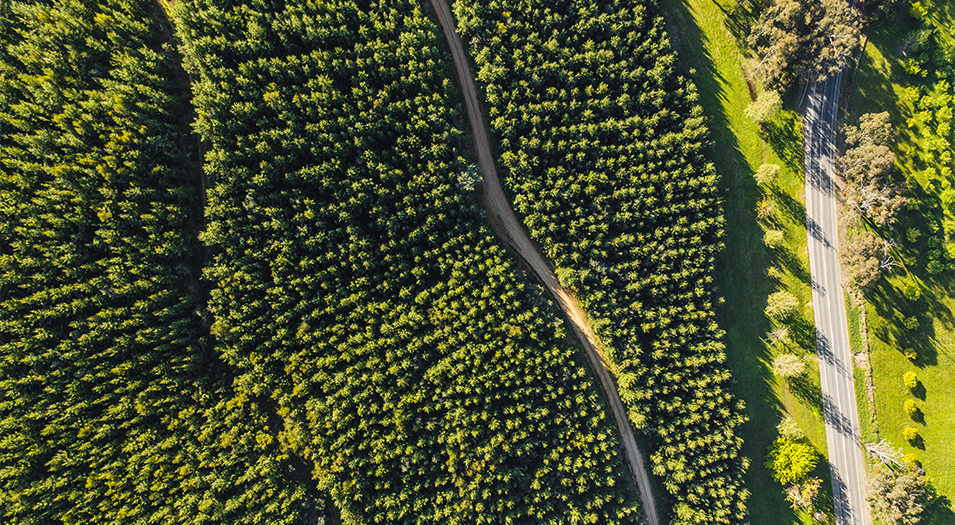 ABARES - DAFF