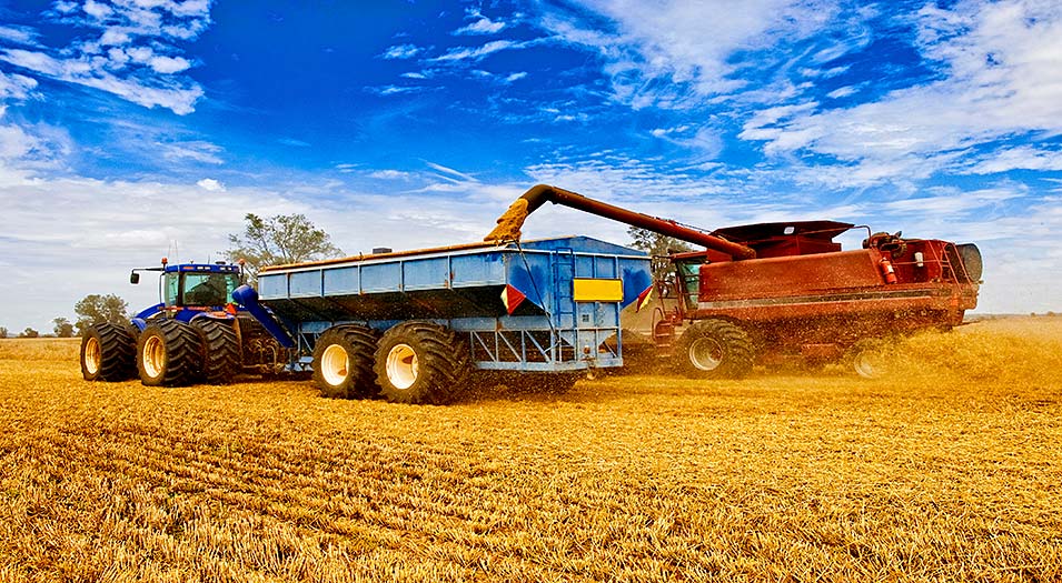 ABARES - DAFF