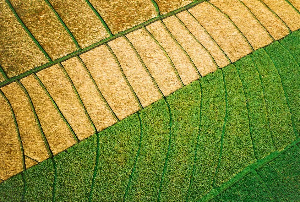 ABARES - DAFF