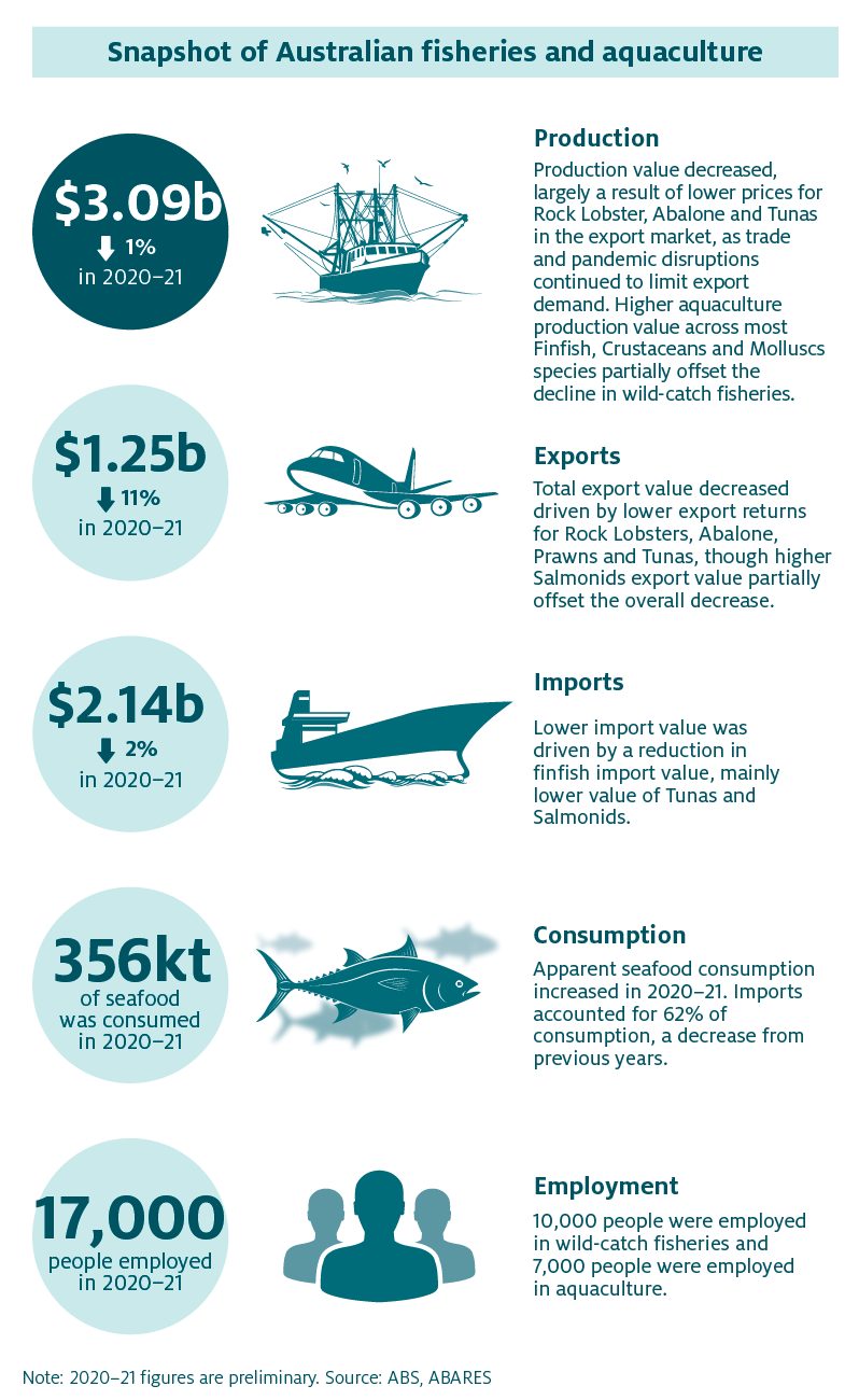afs_2021_snapshot_snapshot_p.png - DAFF