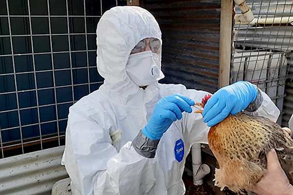 2021 Australian Biosecurity Award recipients - DAFF