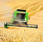 crop-report-dec21-research.png - DAFF