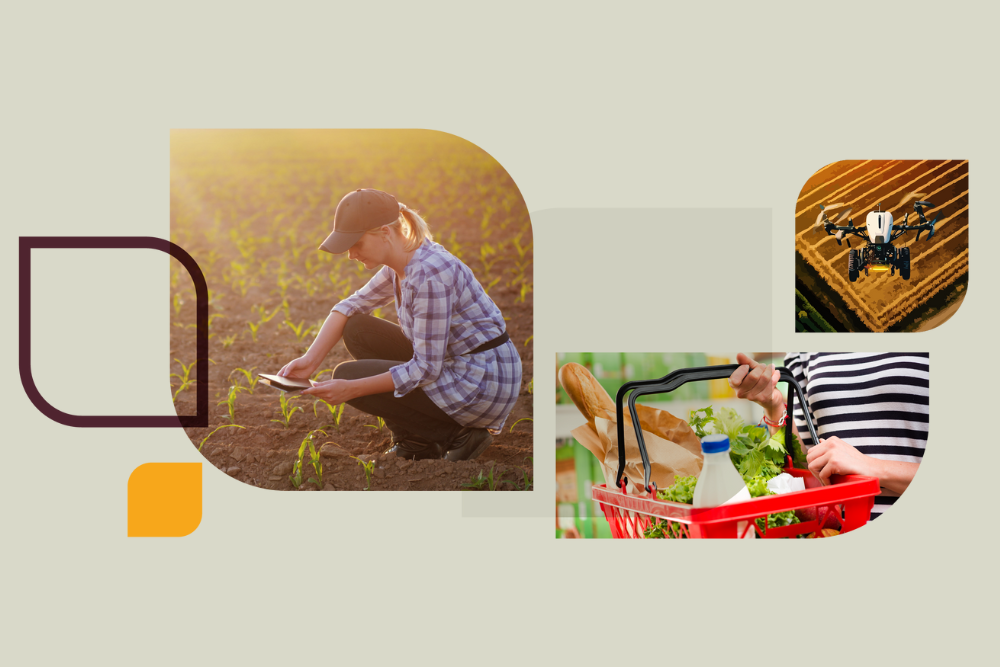 Have Your Say on the Data Interoperability Framework - DAFF