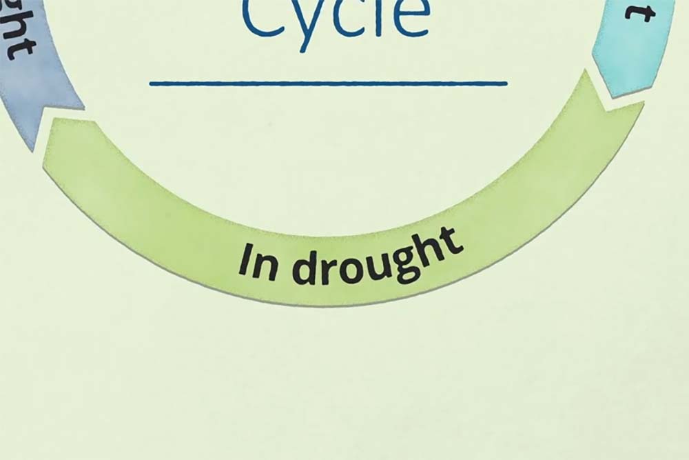 When in drought - DAFF