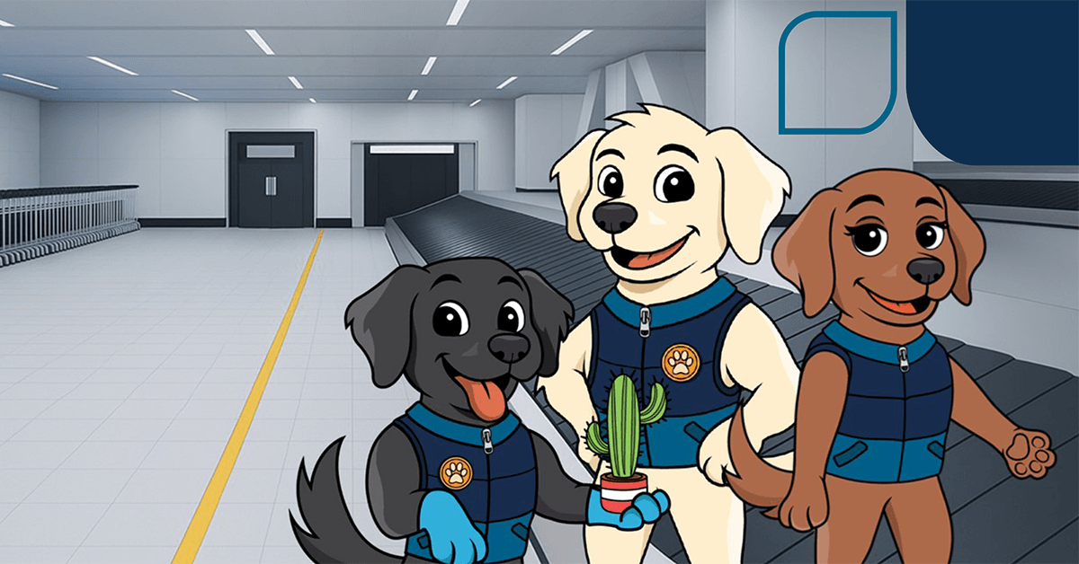 Become a Junior Biosecurity Officer - DAFF