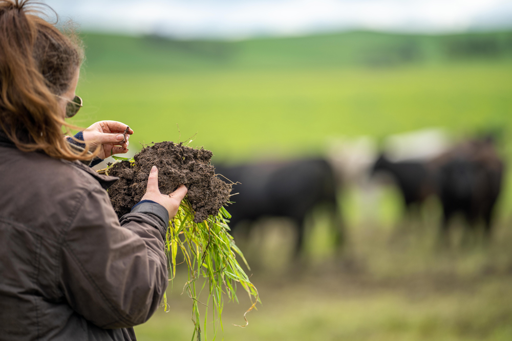 Launch of Australia’s first National Soil Action Plan - DAFF
