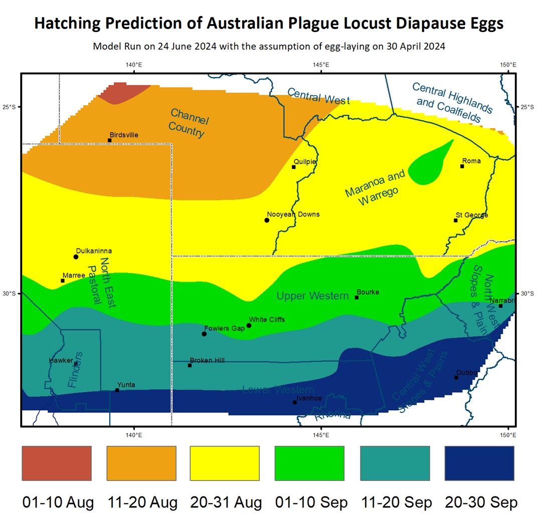 Current locust situation - DAFF