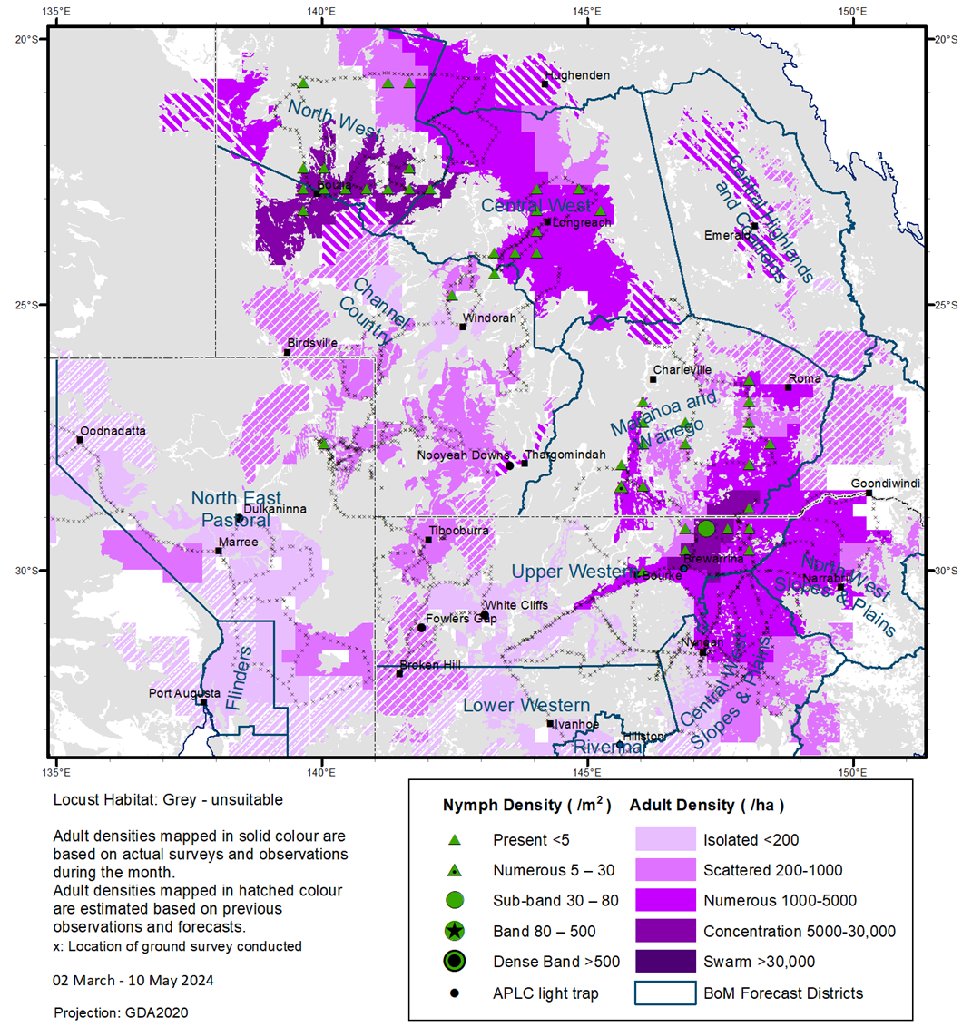Current locust situation - DAFF
