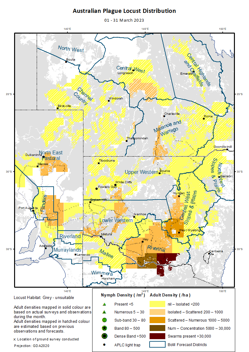 Current locust situation - DAFF