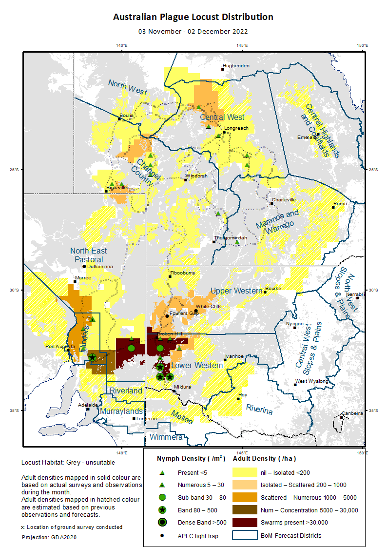 Current locust situation - DAFF