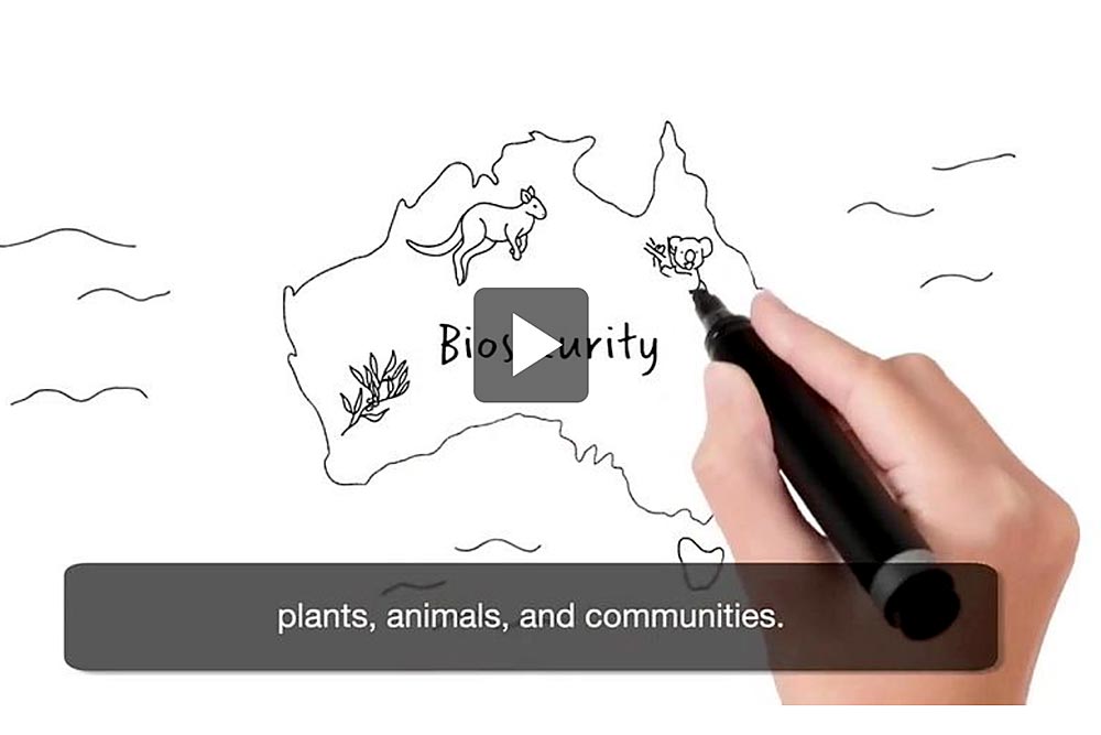 Australia's biosecurity - DAFF
