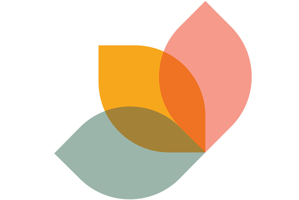 Designing an award-winning future for DAFF - DAFF