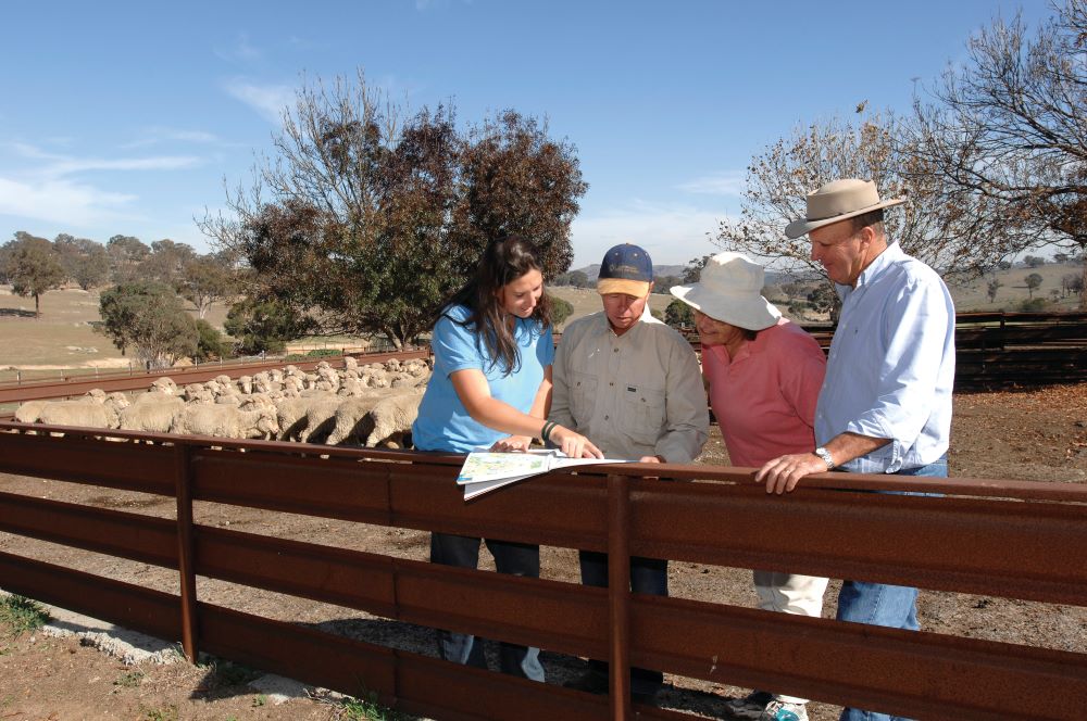 Consultation now open for future drought funding - DAFF