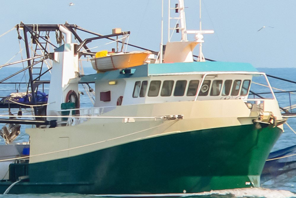 Seafood import codes updated to help battle illegal fishing - DAFF