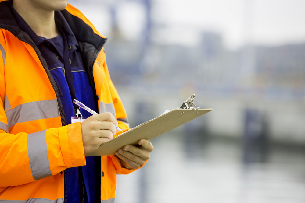 Ensuring sheep welfare: live sheep export by sea regulations and ...