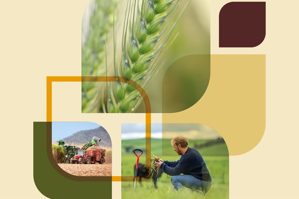 Helping Aussie farmers grow this AgDay - DAFF