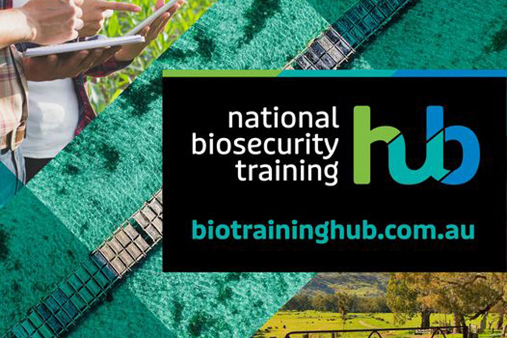 Continued Support for the National Biosecurity Training Hub - DAFF