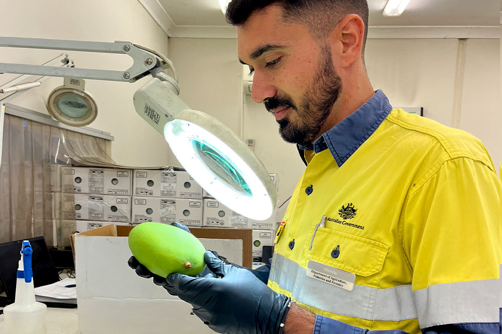 Backing our farmers to grow with border biosecurity - DAFF