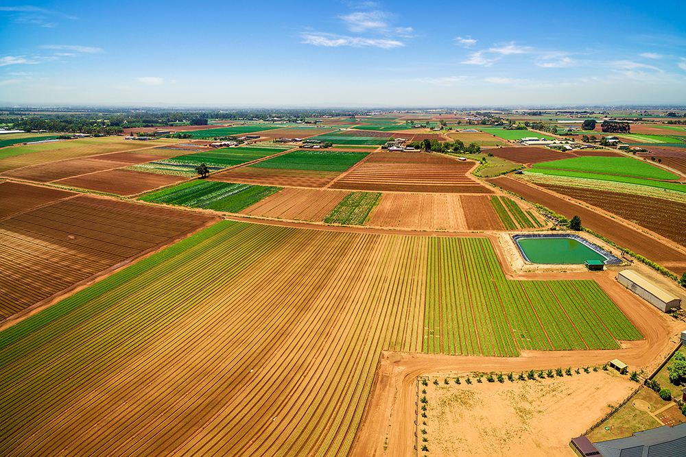 Strong growth for Australian broadacre farmland prices - DAFF