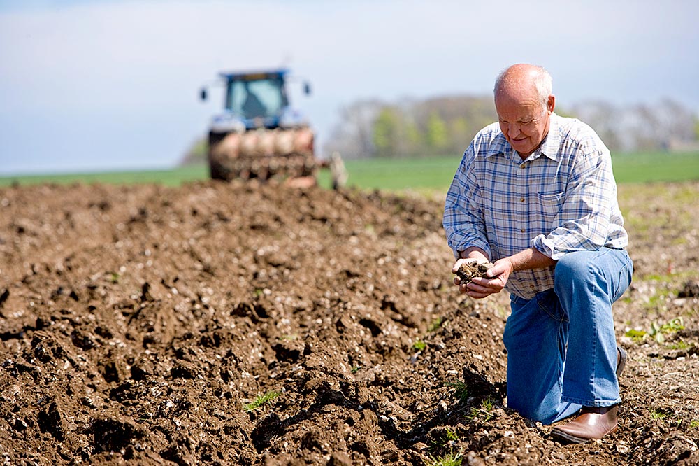 $1.6 million for Nuffield scholarships with a focus on drought resilience - DAFF