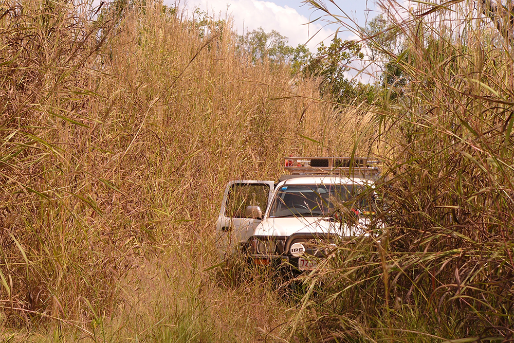 New resources available for best practice weed management - DAFF