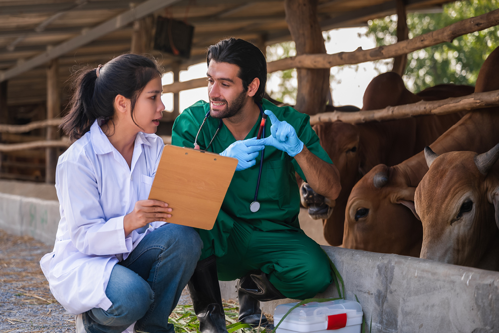 Online training for emergency animal disease experts - DAFF