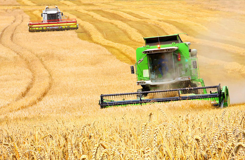 ABARES - DAFF