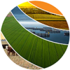 Latest Products - DAFF